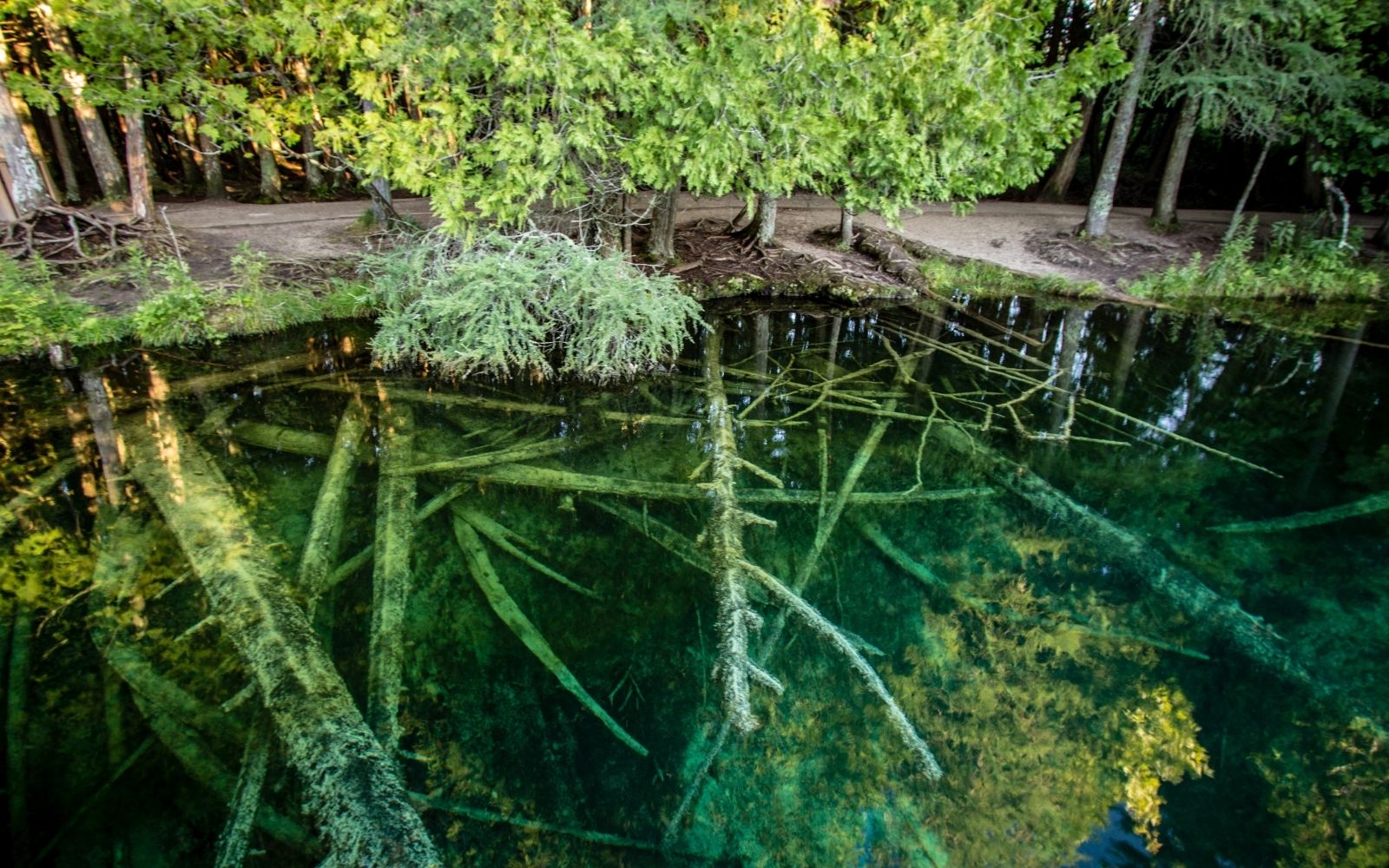 How does a Roth IRA Work? | Shotwell Rutter Baer