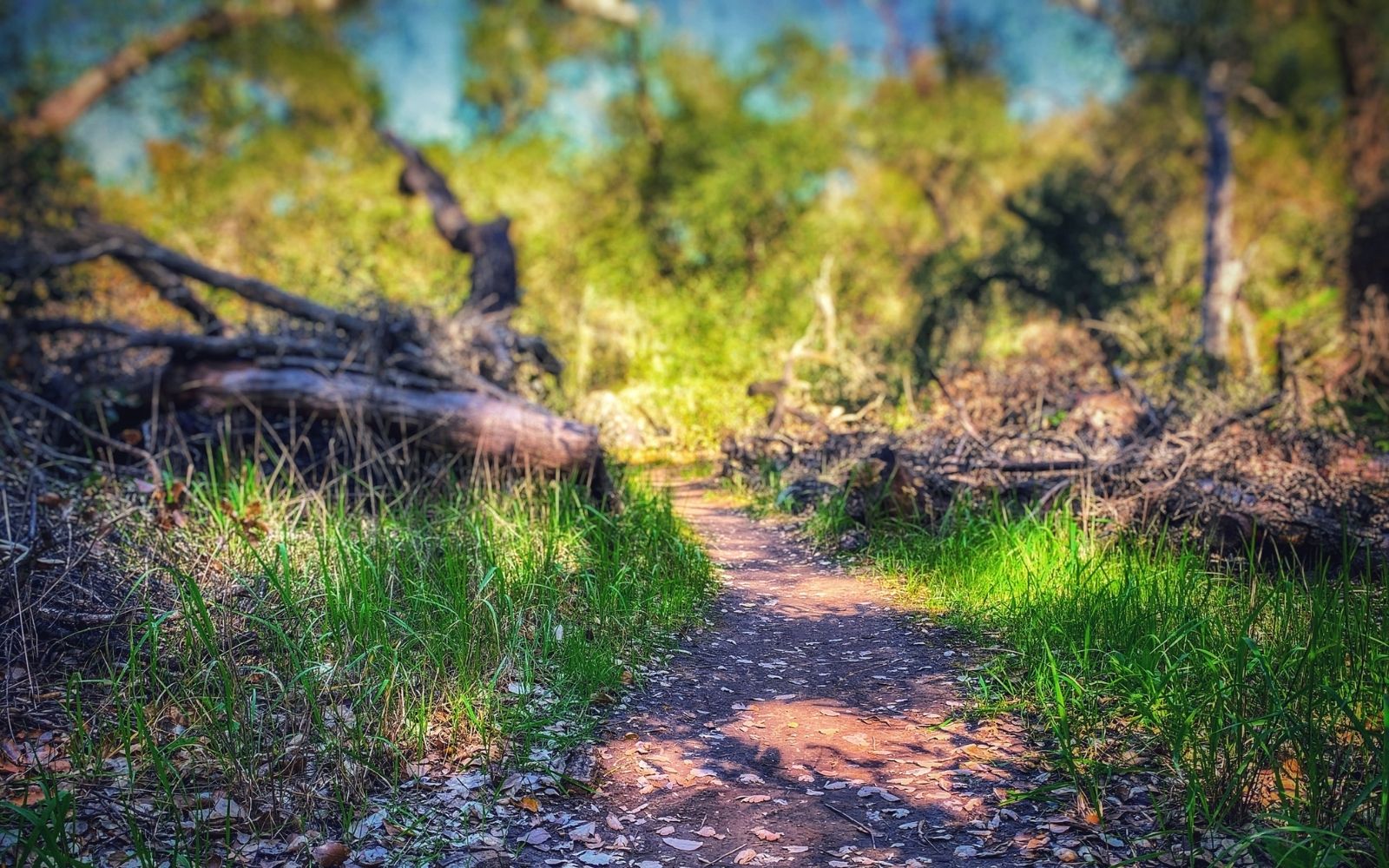 Step Four - Obstacles | Shotwell Rutter Baer